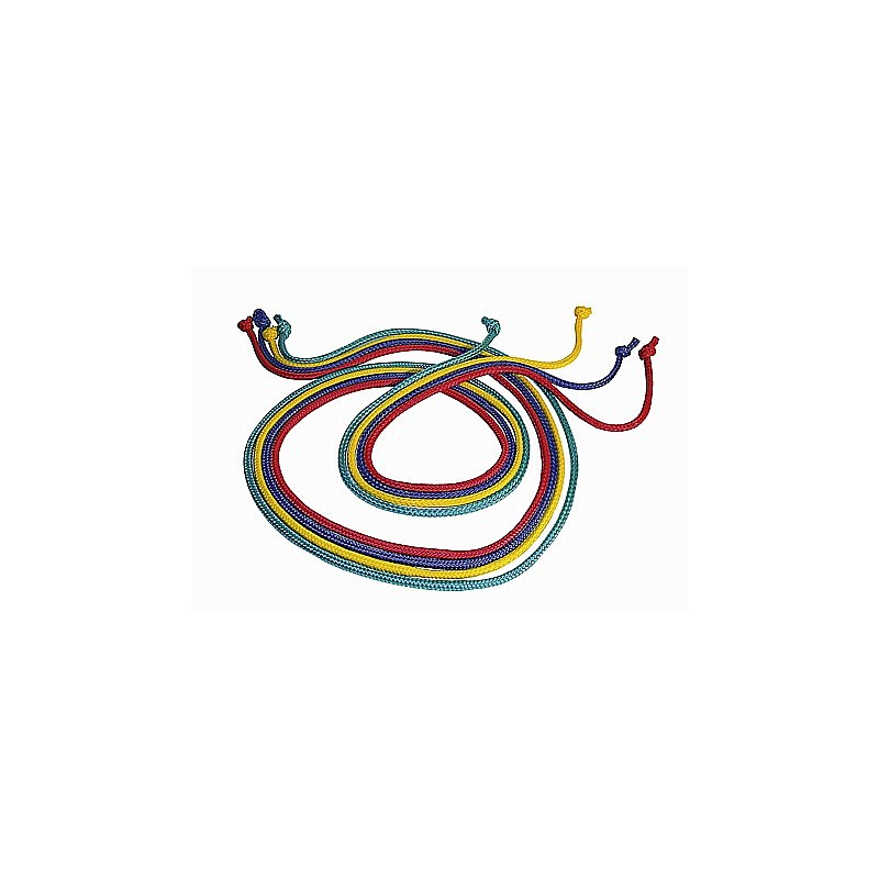 PROGYM Gymnastics skipping rope 2,5 m Colour blue